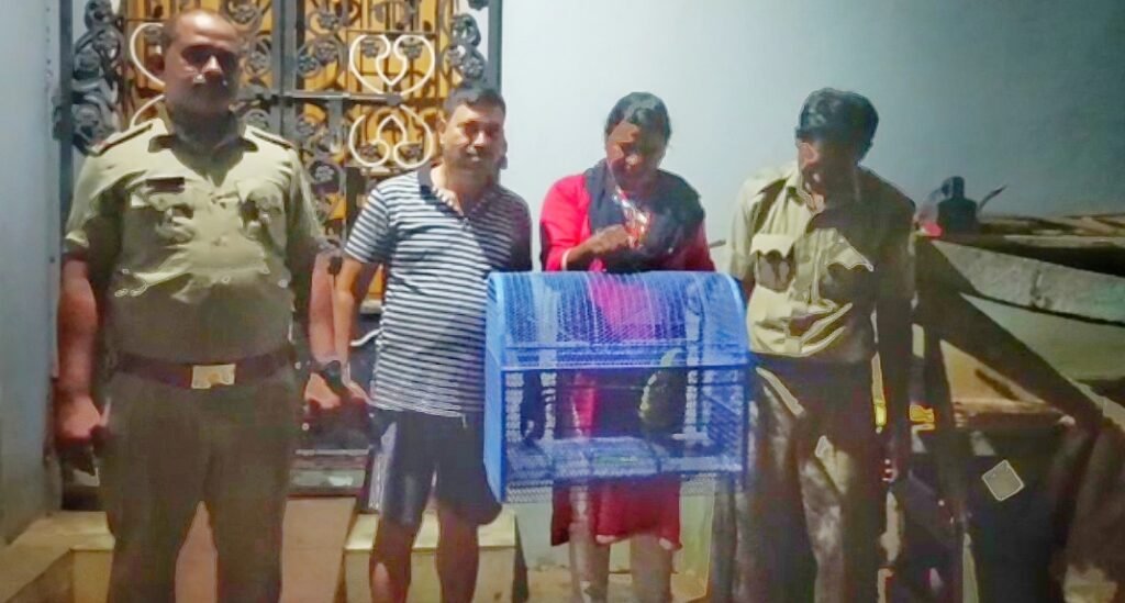 ଆଶ୍ରମରେ ବିରଳ ପ୍ରଜାତିର ଏଣ୍ଡୁଅ ଠାବ – ANGUL TV ODISHA